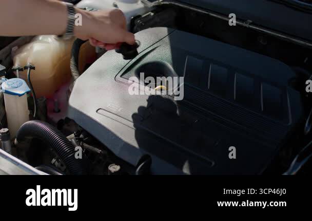 Mechanic checking engine and fluid levels under the hood, demonstrating ...