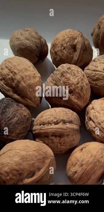 Natural light hits broken walnut halves. Concept of seasonal rhythm ...