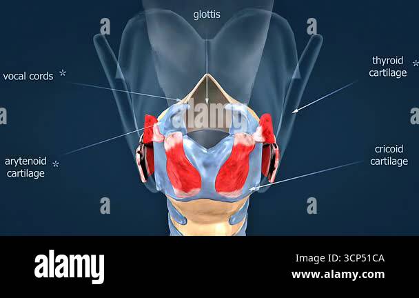 Airflow modulation Stock Videos & Footage - HD and 4K Video Clips - Alamy