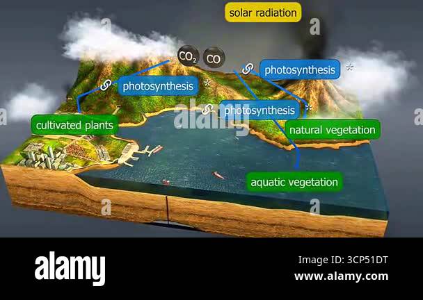 3D animation depicting carbon flow through atmosphere, biosphere ...