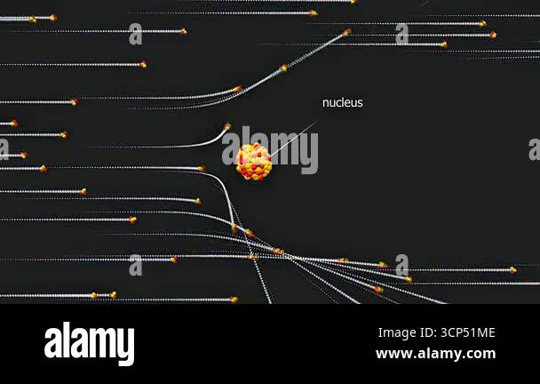 3D animation showing particle scattering during Rutherford experiment, demonstrating atomic ...