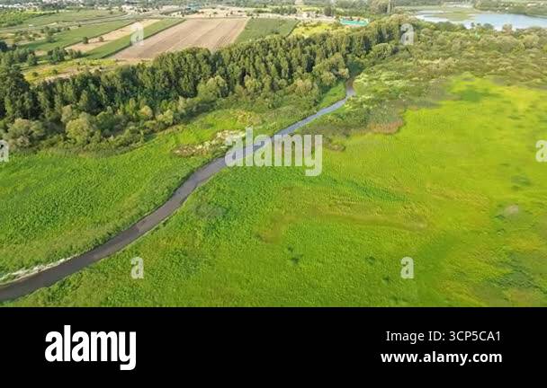 Small river stream cutting through green meadow Stock Video Footage - Alamy