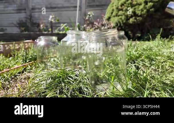 glass jars for canning. Empty glass jars arranged in rows for home ...
