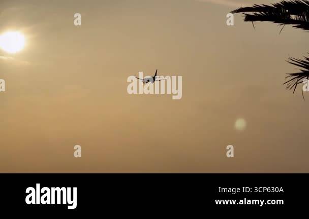 An airplane approaches for landing against a stunning sunset. Palm ...