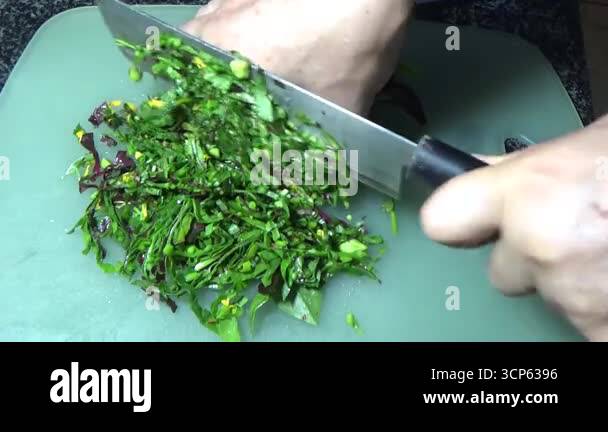 the gourd on tree. The chef used a knife to cut the squash to cook the ...