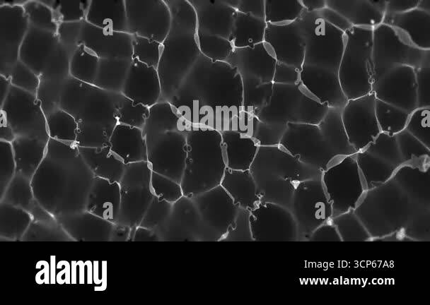 A loop animation water reflection pattern background with motion blur ...