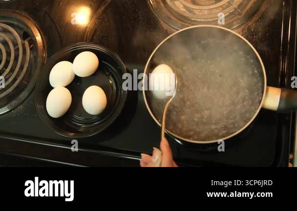 This comprehensive guide displays the complete egg boiling process with ...