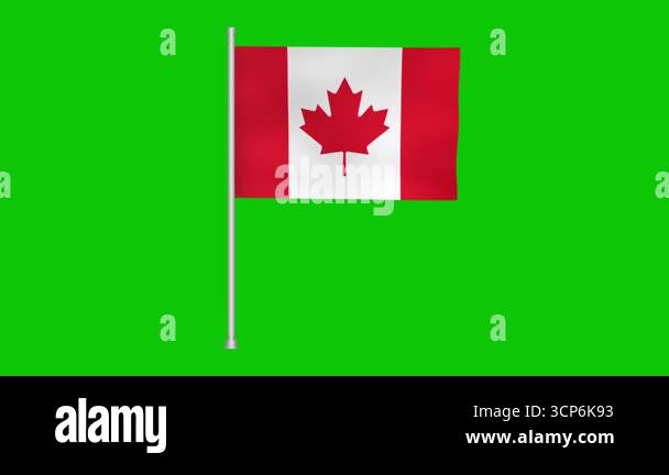 A waving Canadian national symbol with a bright green background ...