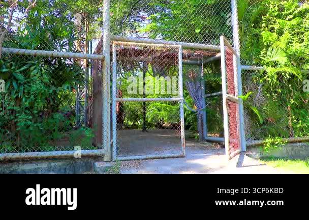 Huge cage with tropical jungle forest and nature inside with metal ...