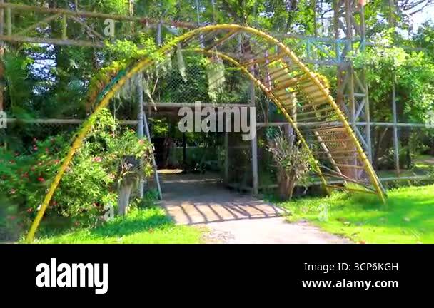 Huge cage with tropical jungle forest and nature inside with metal ...