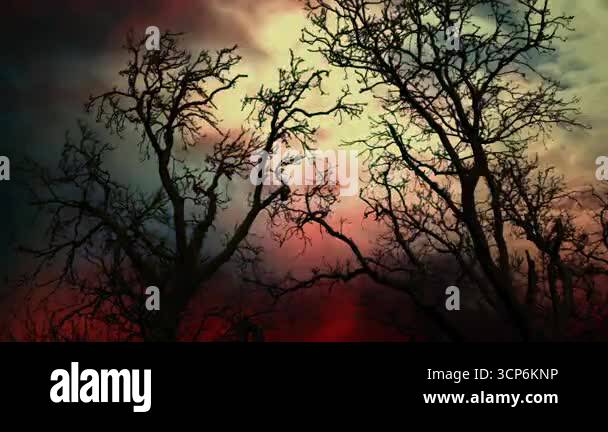 Stormy Paranormal Sky Behind Dead Trees Stock Video Footage - Alamy