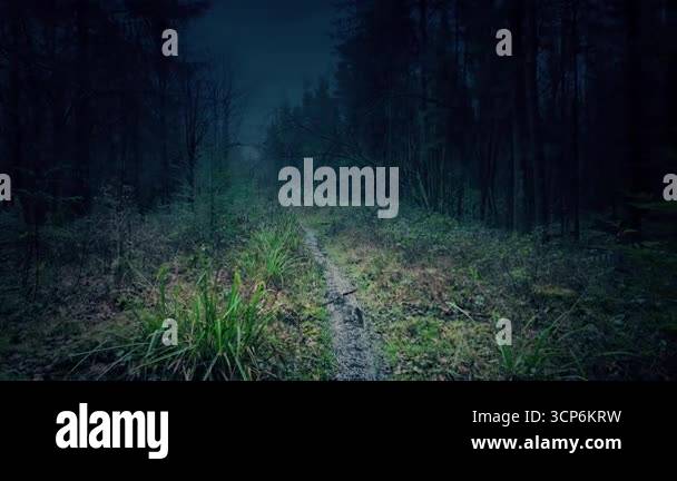 Forest Path In Dark Woods Strange Landscape Stock Video Footage - Alamy