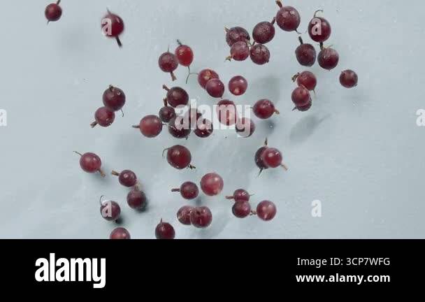 Dynamic shot of fresh red gooseberries falling into water, creating a ...