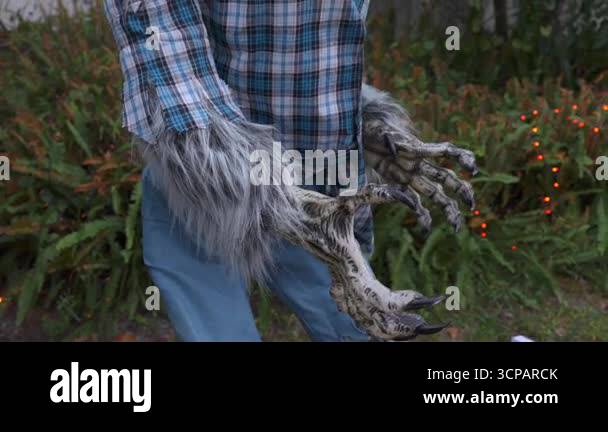 Close-up of a snarling werewolf mask with gray fur and sharp teeth ...