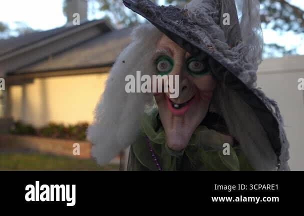 Long pointed nose Stock Videos & Footage - HD and 4K Video Clips - Alamy