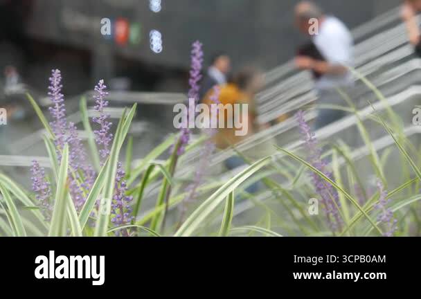 New York City, United States - 11 Sept 2023: Manhattan Midtown ...