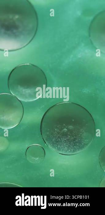 Vertical video. Bubble paint. Drop background. Defocused green color ...