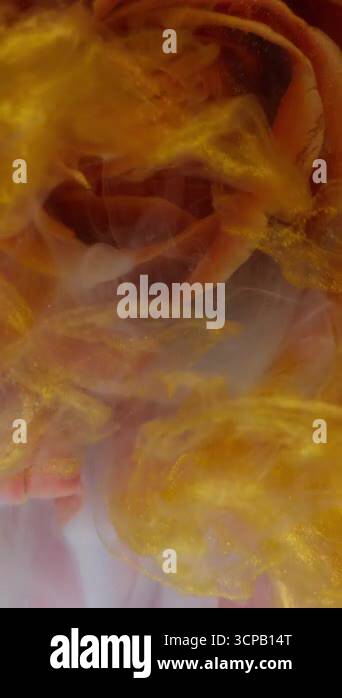Vertical video. Ink flower. Water petals. Defocused golden red ...