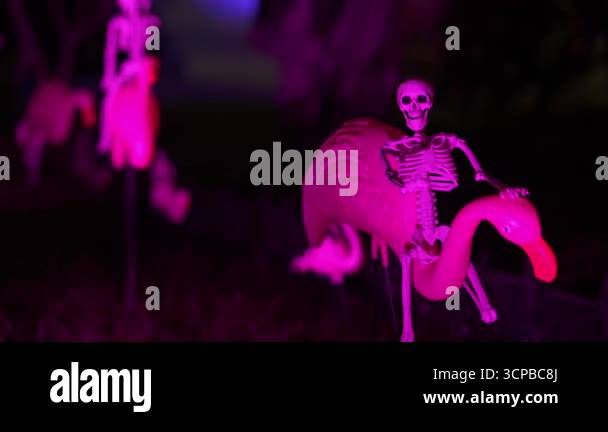 Close-up Halloween yard decoration shows a small skeleton riding a pink ...