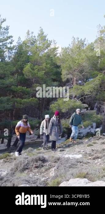 Friends hiking through a lush evergreen forest, enjoying nature and ...