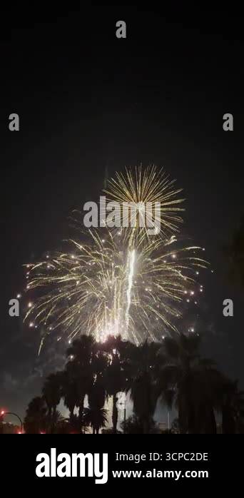 Golden fireworks bursting in the night sky above palm trees Stock Video ...