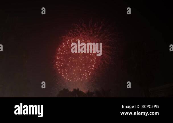 Round golden firework bloom lighting up the night sky Stock Video ...