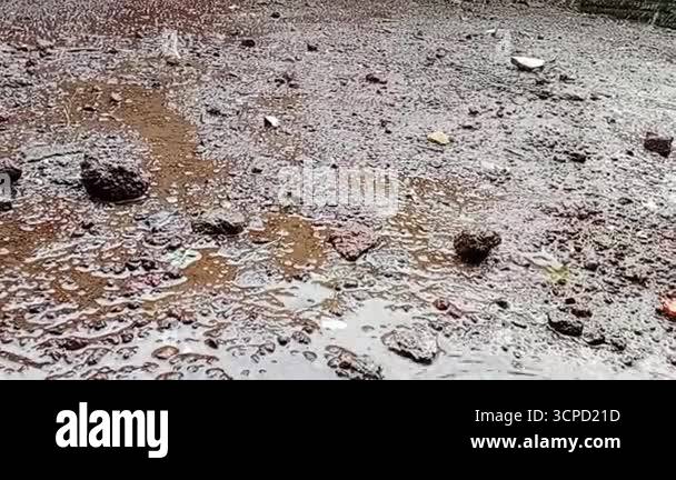 Raindrops falling on muddy ground, creating splashes and ripples in a ...