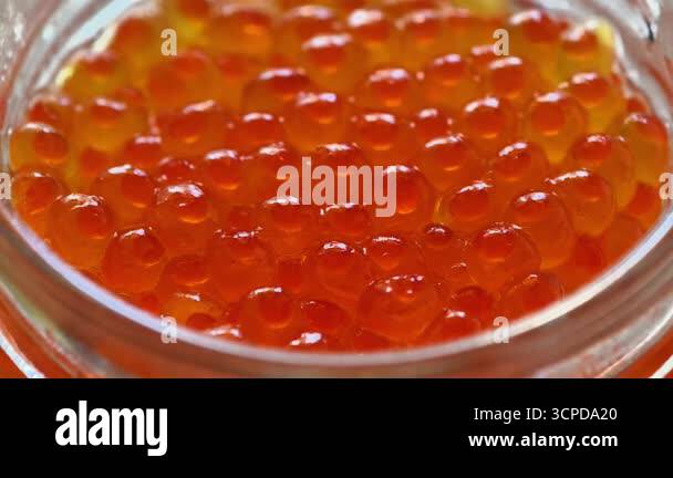 Closeup view of salmon roe, vividly showcasing its bright orange color ...