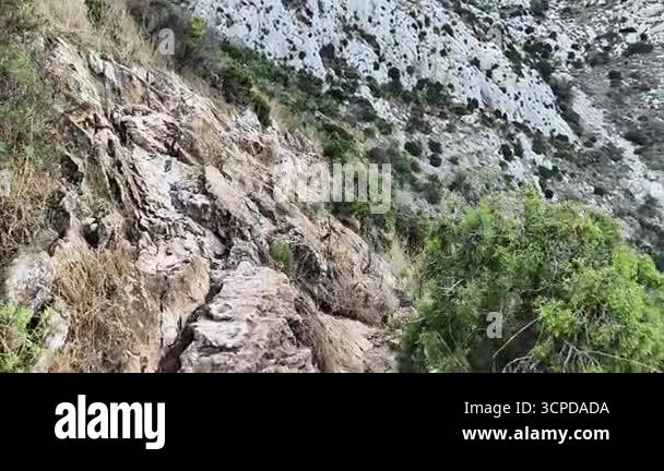 A rugged rocky terrain dotted with various shrubs, showcasing a steep ...