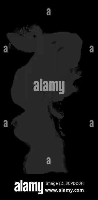 Dark Gray Wispy Smoke flow loop on alpha transparent background Stock ...
