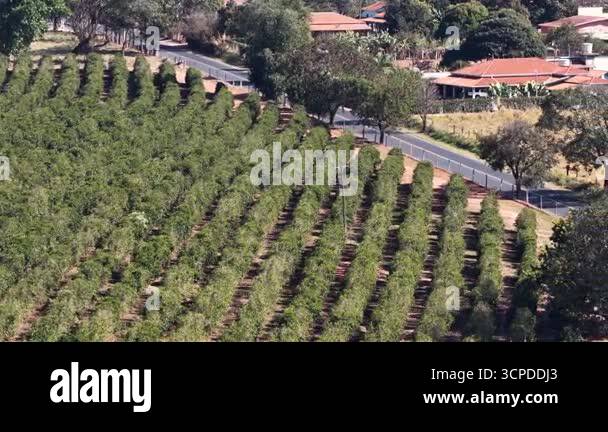 Sao Benedito Das Areias Skyline At Mococa In Sao Paulo Brazil ...