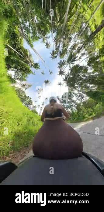 Vertical video. Woman driving scooter through lush tropical road with ...