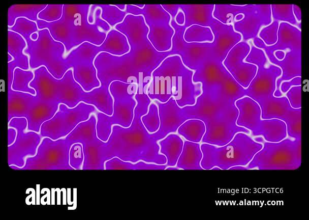 Abstract violet wavy motion animation for background music or ...