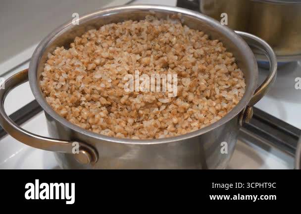 Cooking. Boiled buckwheat, kasha. Pot of buckwheat porridge is on gas ...