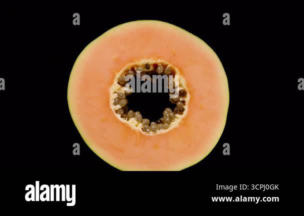 Close-Up of Hand Holding and Examining Round Slice of Papaya with Green ...