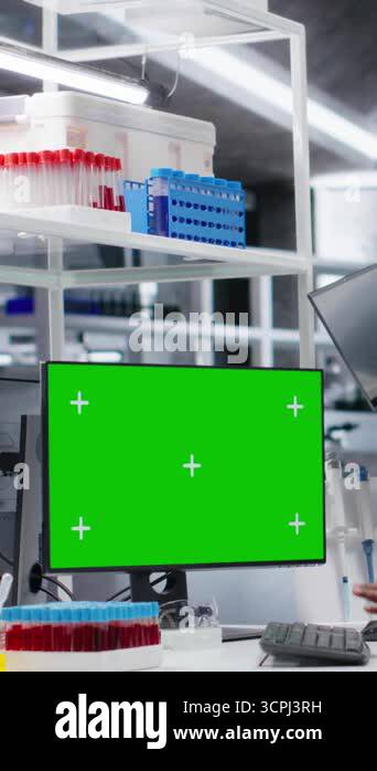 Vertical Video Chroma key display on monitor next to diverse experts in ...