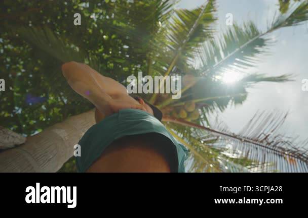 Person Standing Under Palm Tree With Sunlight Through Leaves Seen From ...