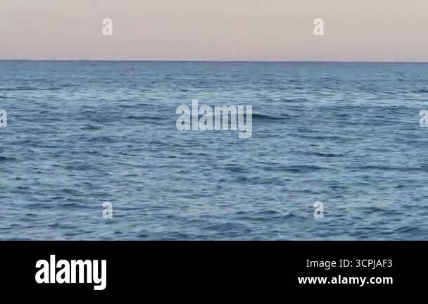 Soft waves gently rolling across calm sea waters during twilight ...