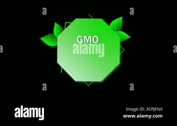 Green leaves GMO free emblem motion graphic. Vegan and non GMO project ...