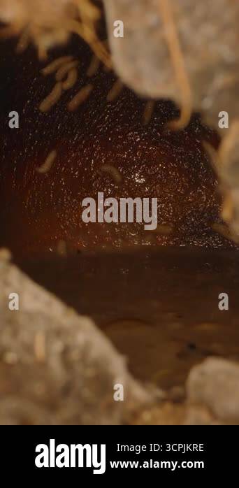 Vertical video. Dolly Slider Close Up Through Rough Opening Revealing ...