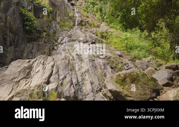 Wide angle plants Stock Videos & Footage - HD and 4K Video Clips - Alamy