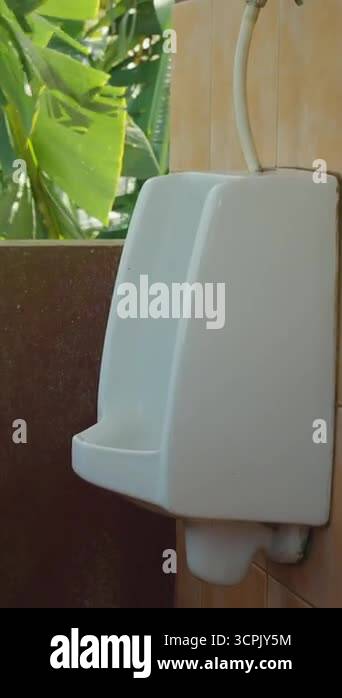 Vertical video. Outdoor Urinal on Balcony with Jungle Trees and Banana ...
