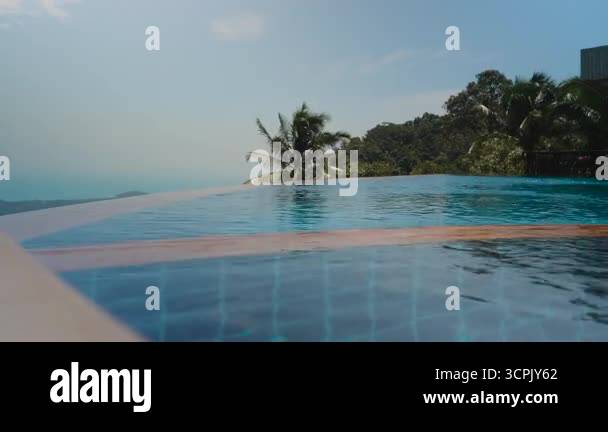 Curved Edge of Infinity Pool with Palm Trees and Ocean View Under Blue ...