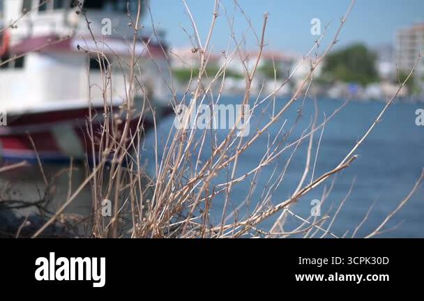 Fishing Boat Seen from Behind Dry Grass. Can be used for cinematic ...