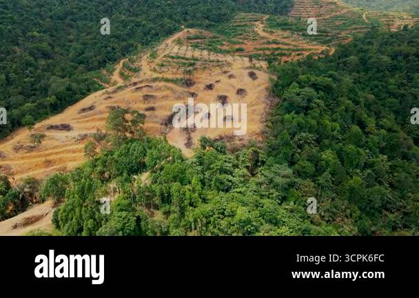 Tropical deforestation aerial Stock Videos & Footage - HD and 4K Video ...