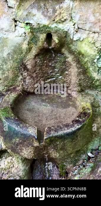 Natural spring water source in tropical forest. A place in Cyprus in ...