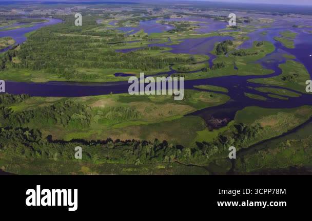 Anastomosing river Stock Videos & Footage - HD and 4K Video Clips - Alamy