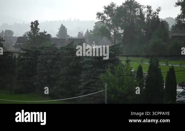 Heavy summer rain falls over green trees, creating misty background and ...