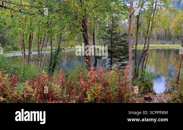 Scenic view of Reflection lake in Alaska during autumn time Stock Video ...