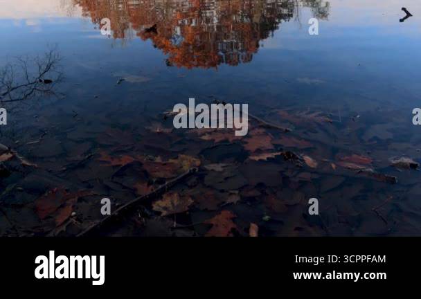Scenic lake with small island in the middle of Maybery state park in ...